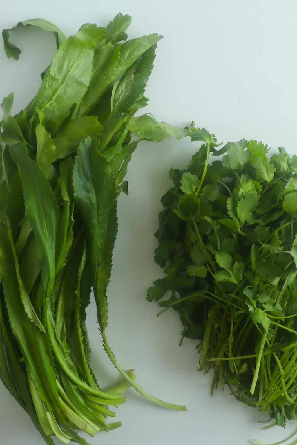 What is Recao (Culantro)? - Food Metamorphosis