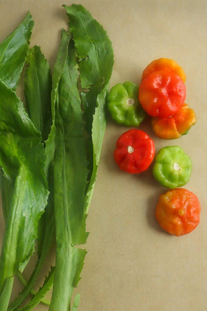 Puerto Rican Sofrito - Food Metamorphosis