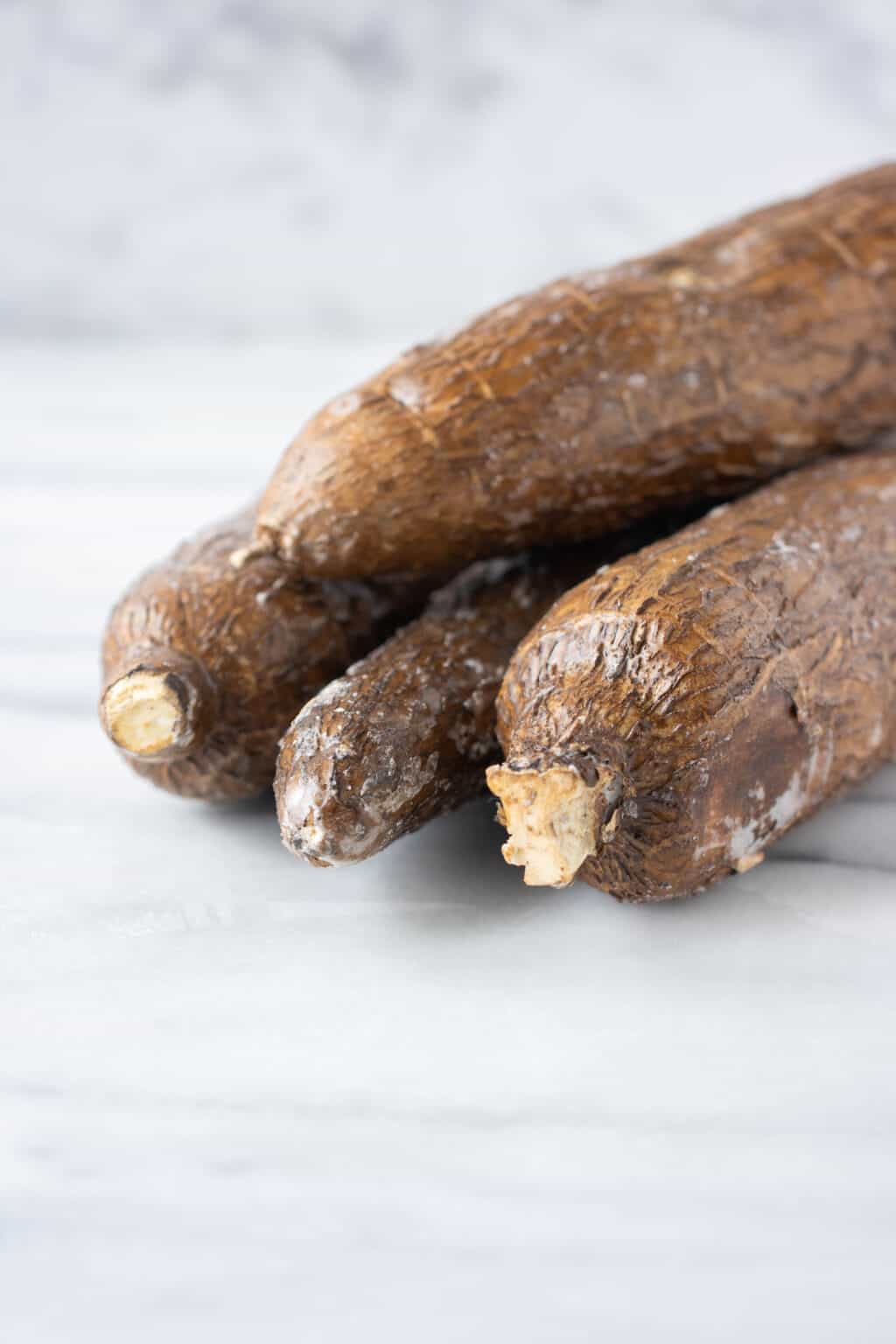 ¿Que es la Yuca? - Food Metamorphosis