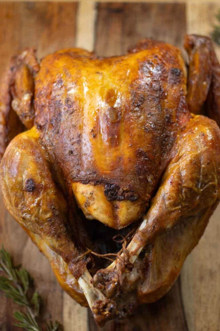 Pavochon (Puerto Rican Turkey)- Food Metamorphosis